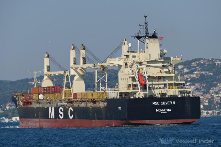 MSC Cargo Ship Targeted by Houtis – Military News Today
