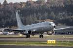 What does the RAF fleet look like in 2024? – Military News Today